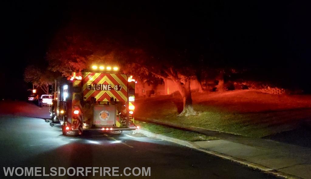 ENGINE PROVIDES WEEKEND COVERAGE - Womelsdorf Volunteer Fire Company #1